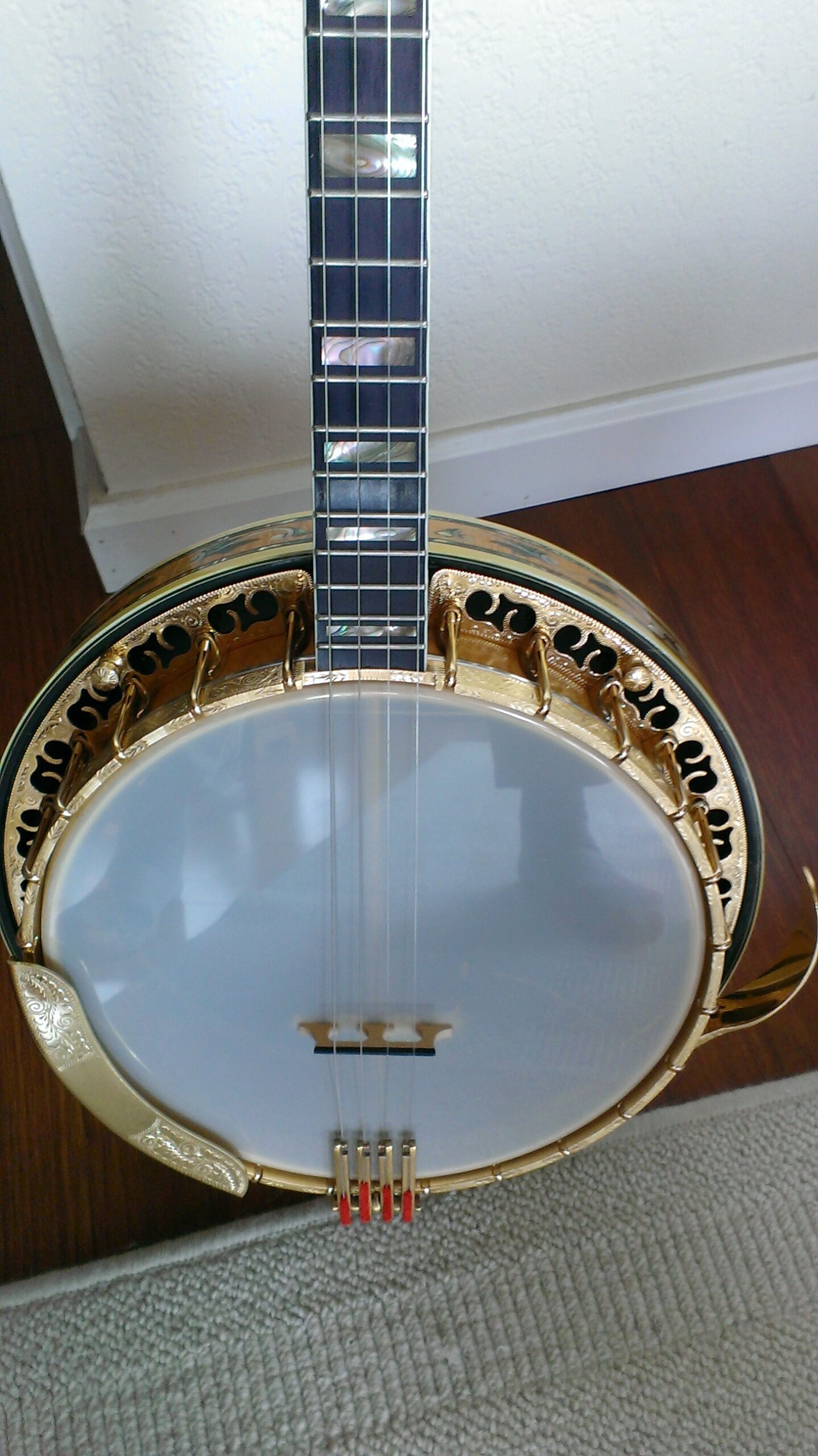Ome Big Mogul (Serial #2495, 1980 or 1981) – Scott Anthony Banjo/Guitar